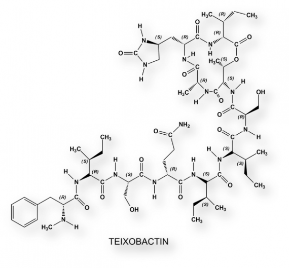 Teixobactin, A New Family of Antibiotics | Farmacia Las Fuentes