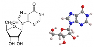 Inosina, ¿qué sabe usted de esta molécula? | Farmacia Las Fuentes